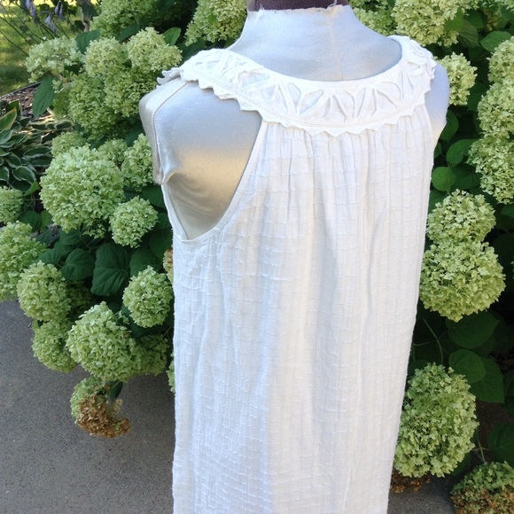 Max Studio | Dresses | Nwt Max Studio White Cotton Shift Dress M K ...